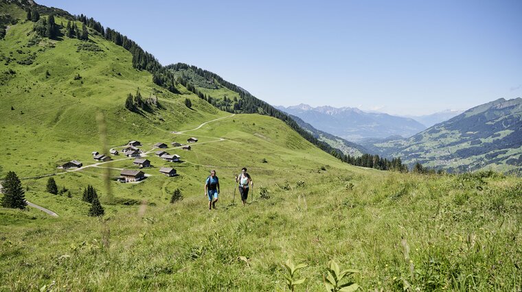 UNESCO Biosphärenpark Großes Walsertal