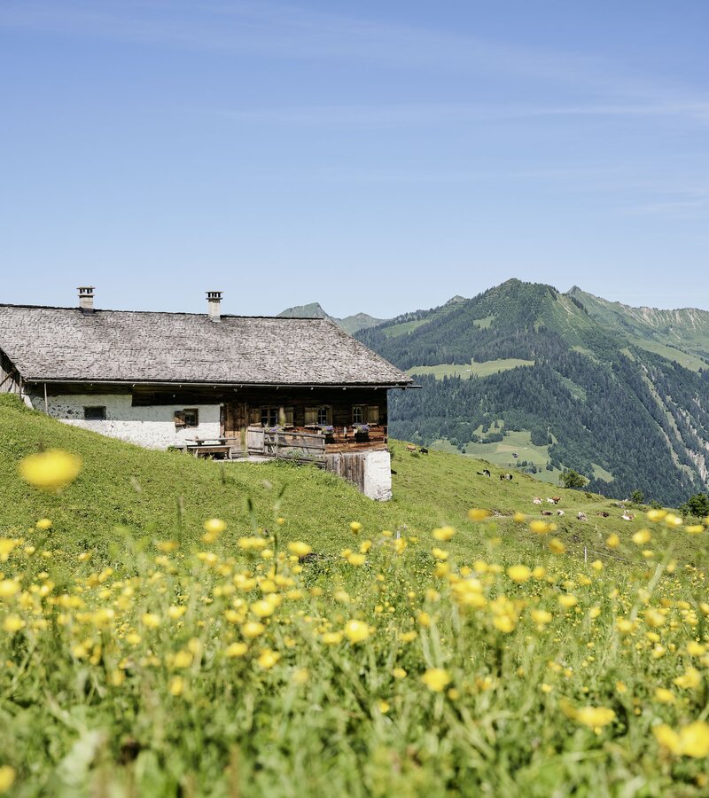 UNESCO Biosphärenpark Großes Walsertal