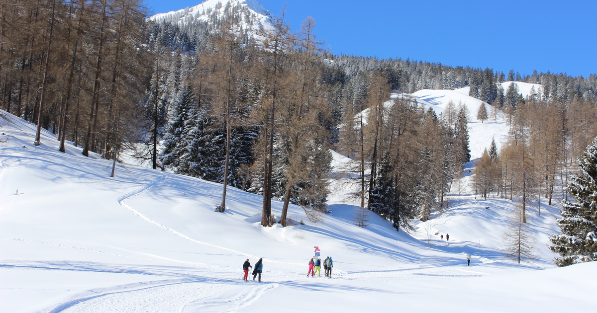 Glinzgieck | Bürserberg