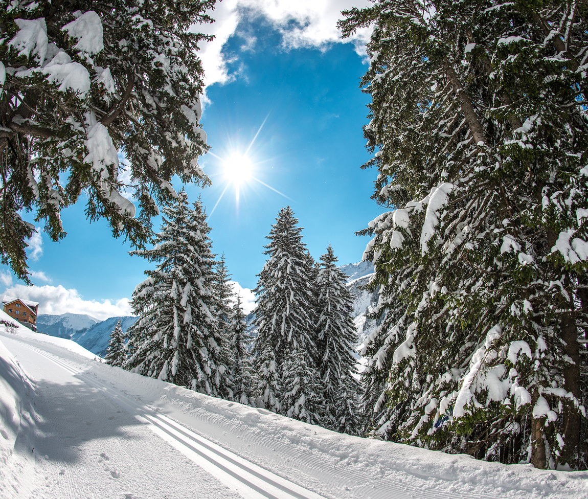 Unterdamüls cross-country trail | Damüls